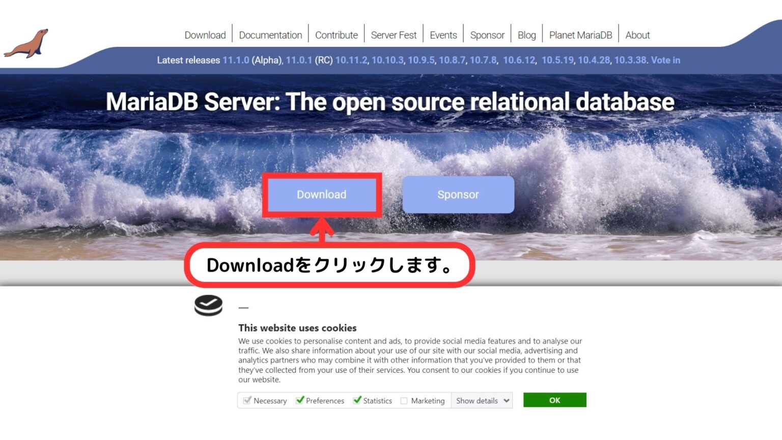 データベース（Part.10）｜ MariaDBのインストール（Windows版）｜プログラミング学習 おすすめ書籍情報発信 パソコン初心者 ...